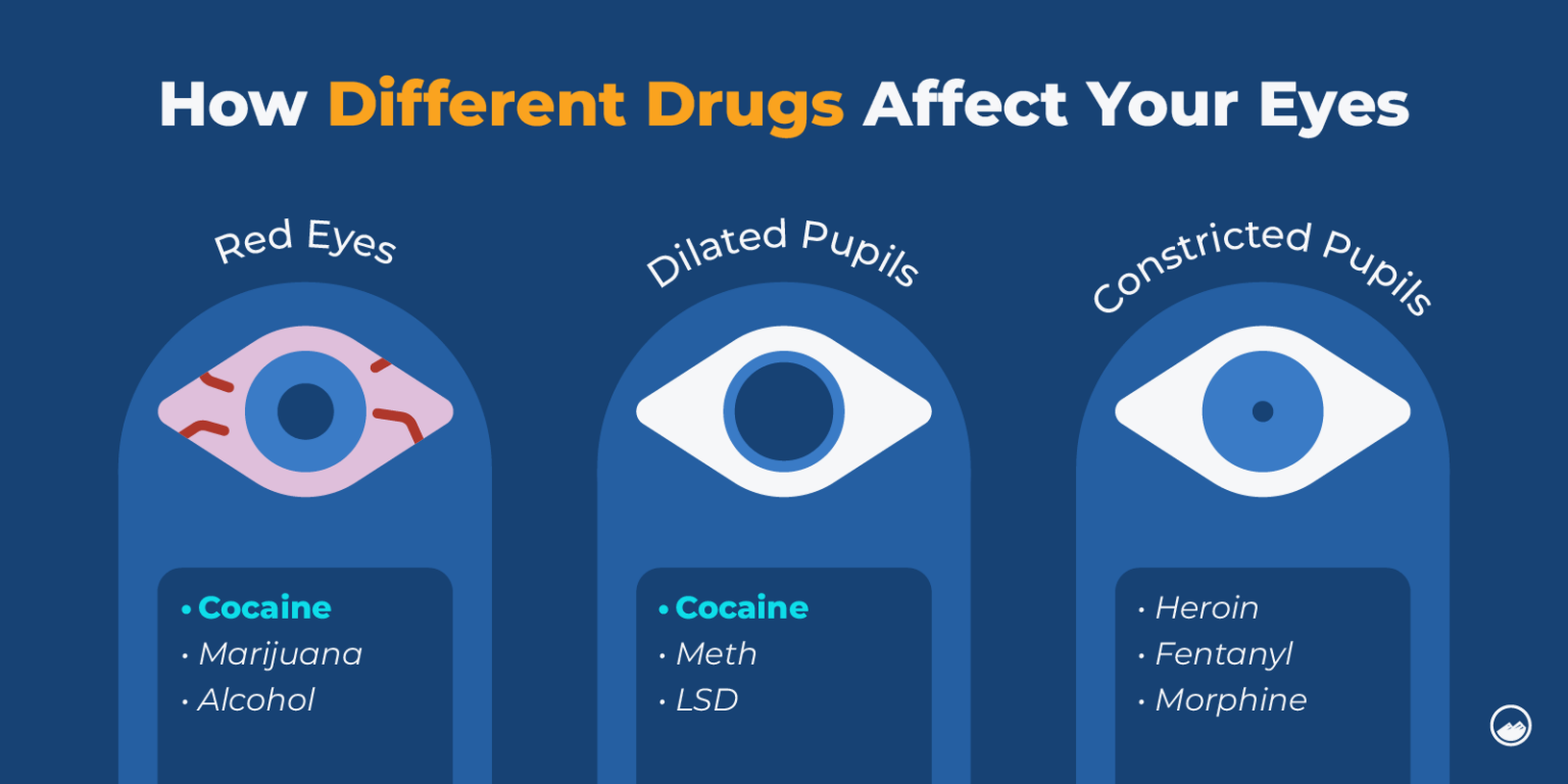 Cocaine Guide: In-Depth Look at Coke, Crack, & More