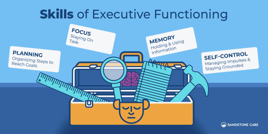 Mastering Executive Function: What It Is & How to Improve