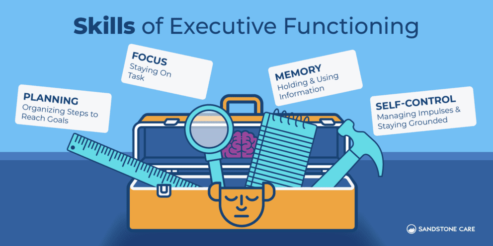 Mastering Executive Function: What It Is & How to Improve