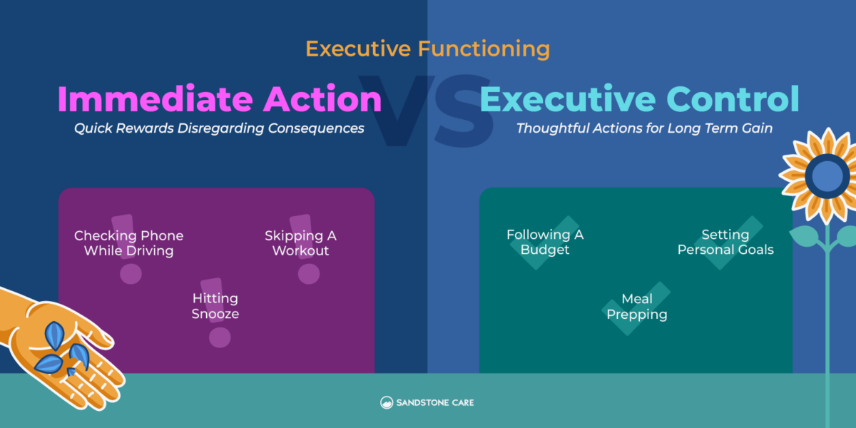 Mastering Executive Function: What It Is & How to Improve