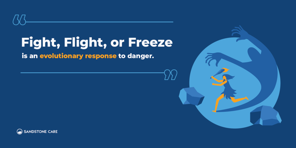 Emotional Dysregulation | Types, Causes, & Top Treatments