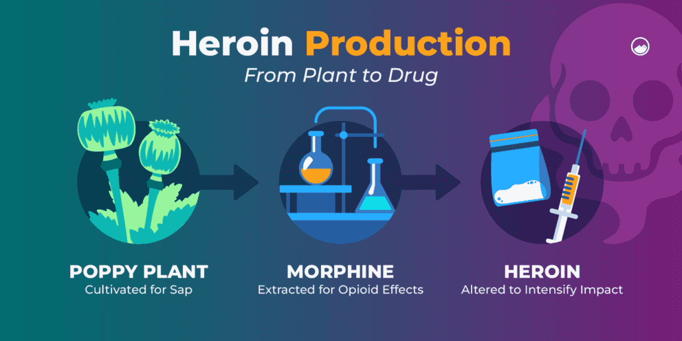 Heroin (Drug): Overdose, Withdrawal & Addiction Treatment