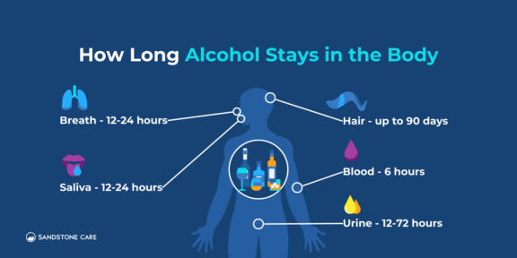 How Long Does Alcohol Stay in Your System? Key Facts