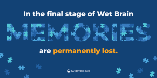 Wet Brain | A Guide to Wernicke-Korsakoff Syndrome