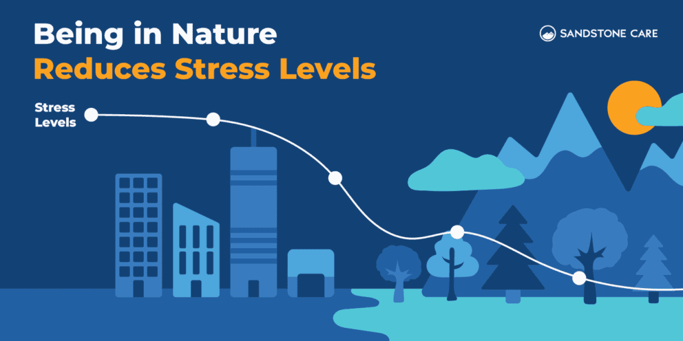 Wilderness Therapy Guide | 11+ Ways to Find Safe Programs