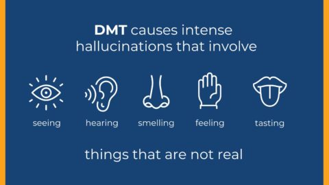 DMT: Experience, Facts, & Side Effects | Sandstone Care
