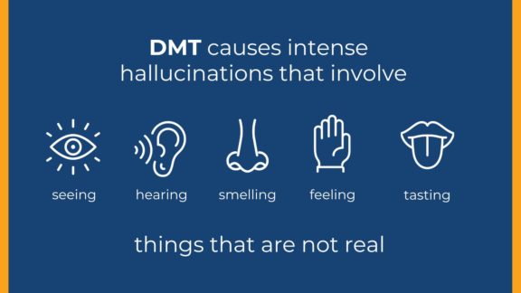 DMT: Experience, Facts, & Side Effects | Sandstone Care