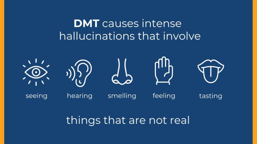 DMT: Experience, Facts, & Side Effects | Sandstone Care