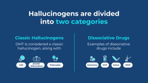 DMT: Experience, Facts, & Side Effects | Sandstone Care