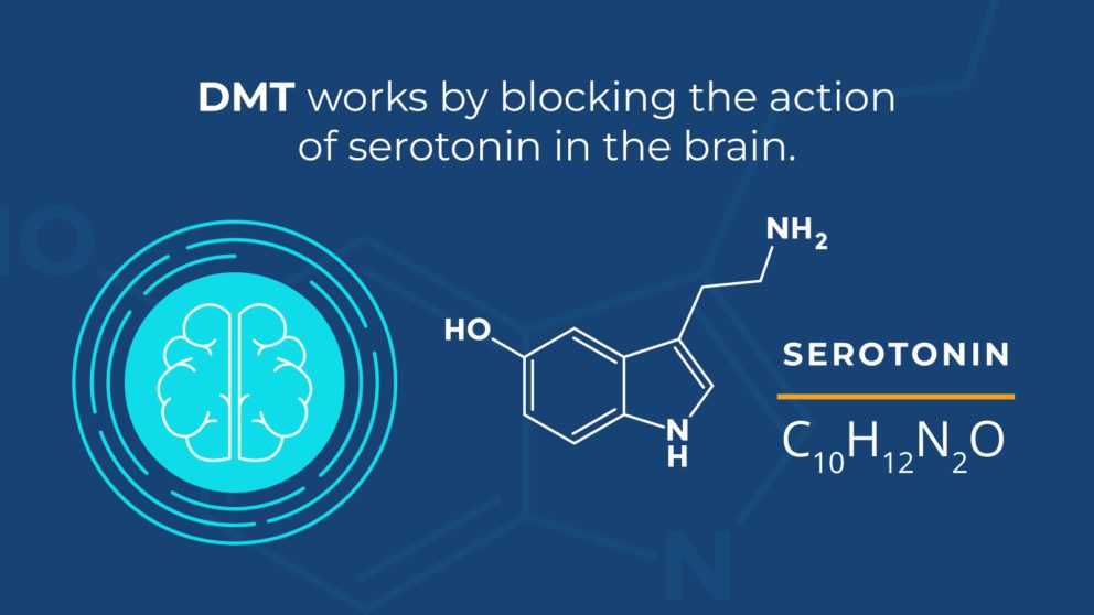DMT: Experience, Facts, & Side Effects | Sandstone Care