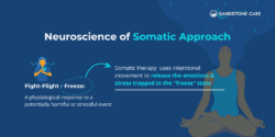 Somatic Therapy: Understanding The Mind-Body Connection