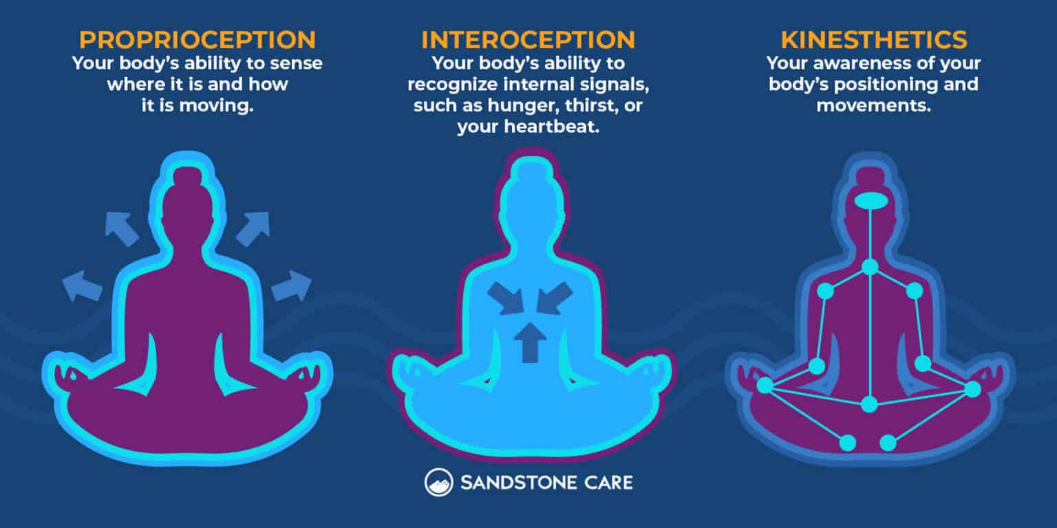 Somatic Therapy | Understanding the Mind-Body Connection