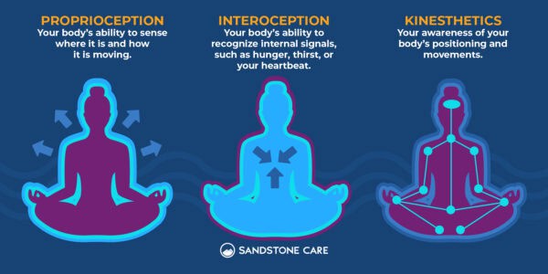 Somatic Therapy | Understanding the Mind-Body Connection