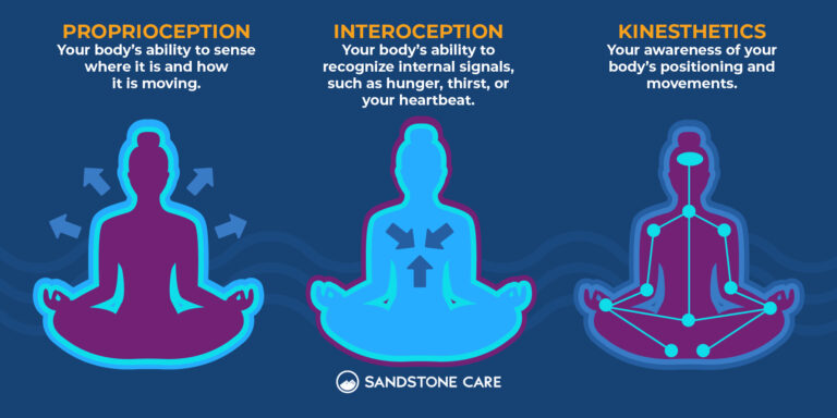 Somatic Therapy | Understanding the Mind-Body Connection
