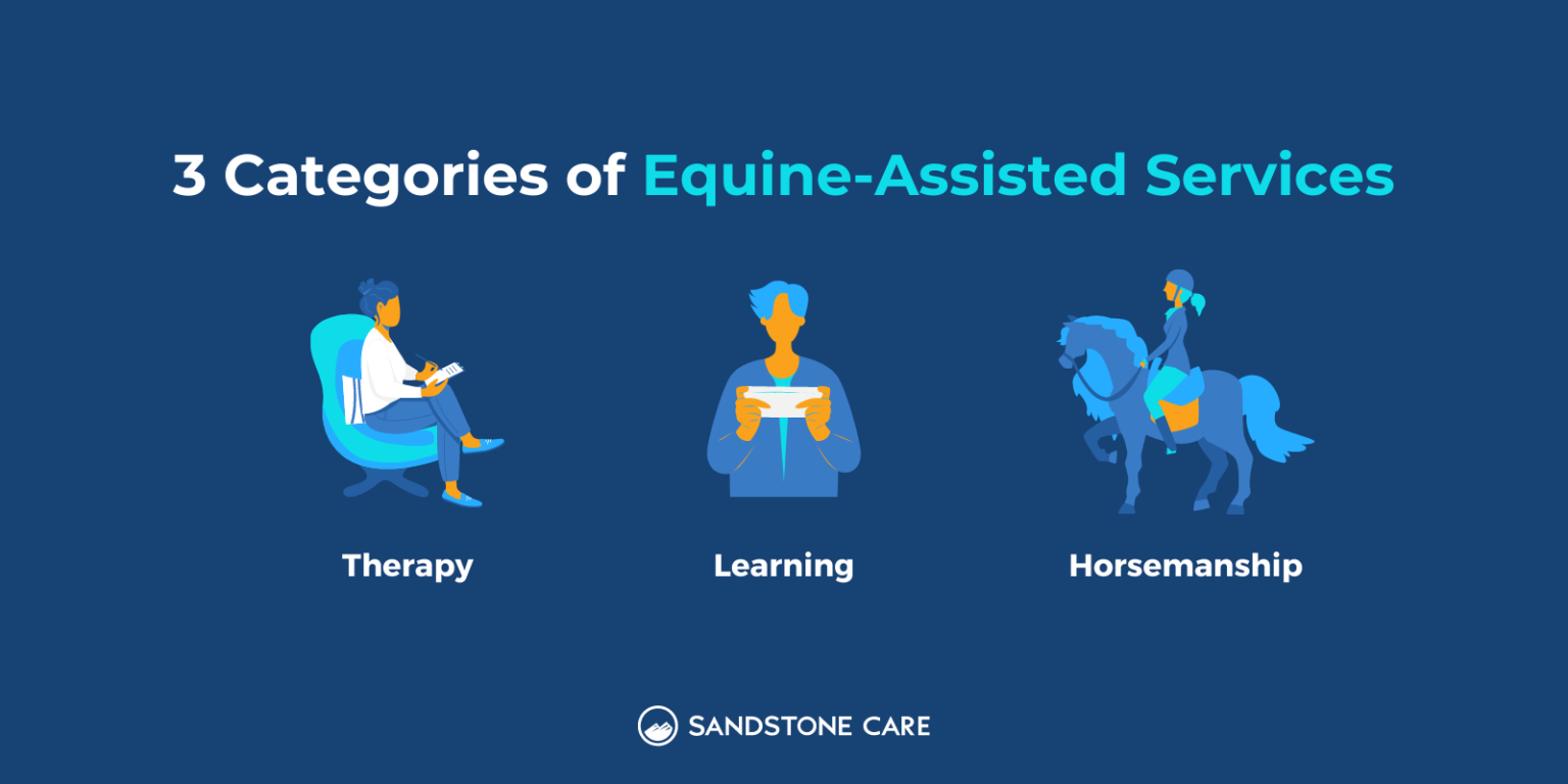 Equine Therapy: 7+ Ways To Heal With Horses | Sandstone Care