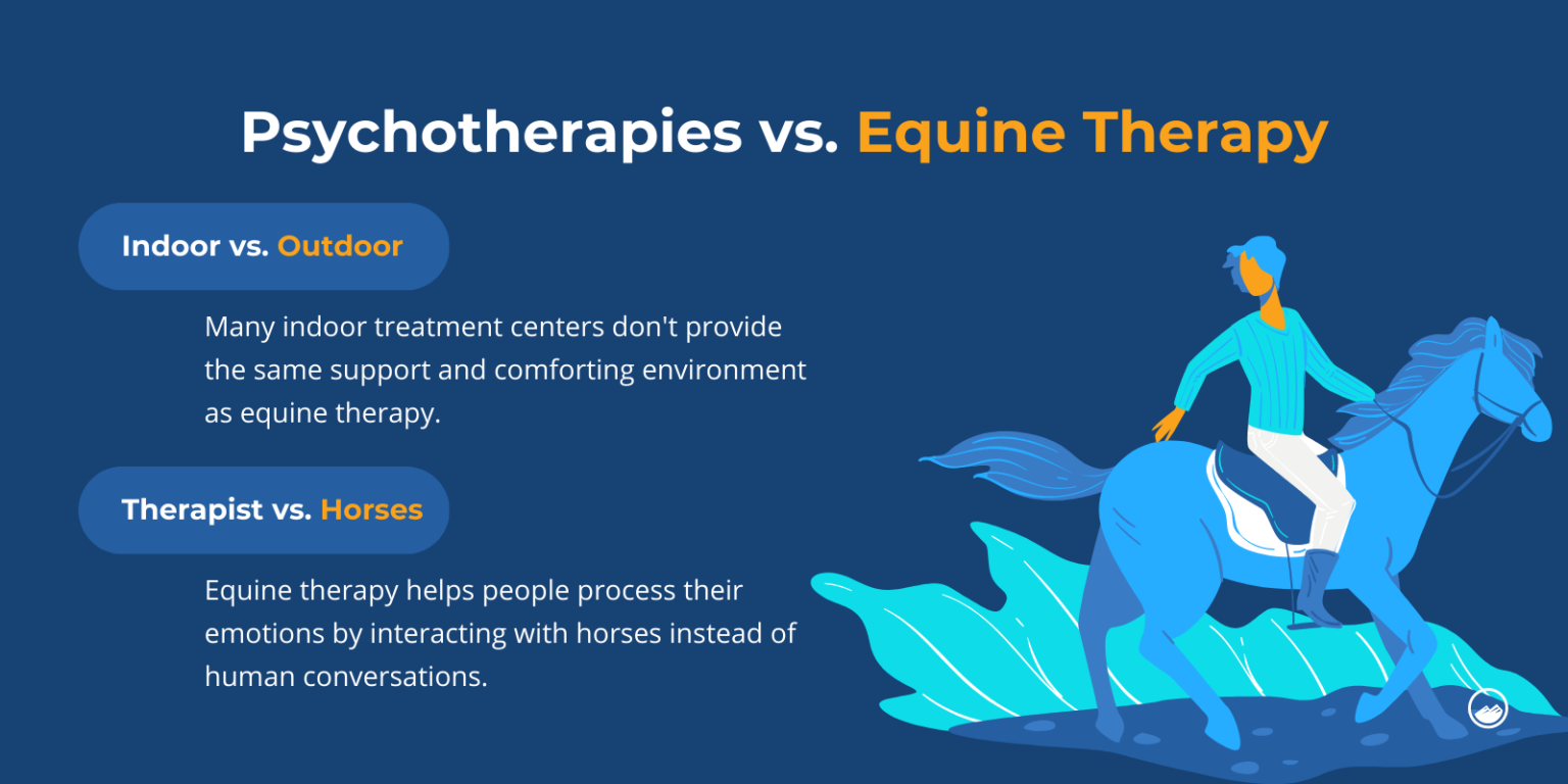 Equine Therapy: 7+ Ways To Heal With Horses | Sandstone Care