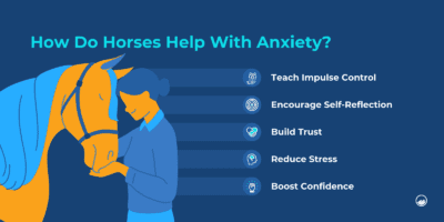 Equine Therapy: 7+ Powerful Ways You'll Unlock Healing Through Horse ...