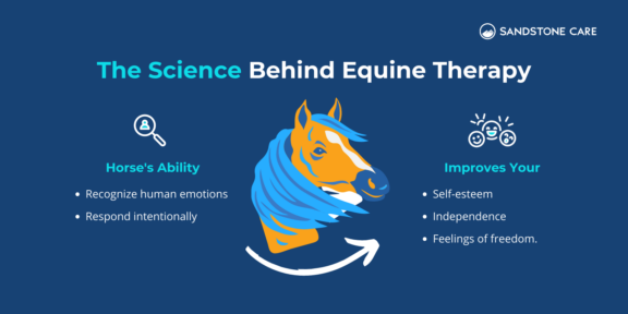 Equine Therapy: 7+ Ways To Heal With Horses | Sandstone Care