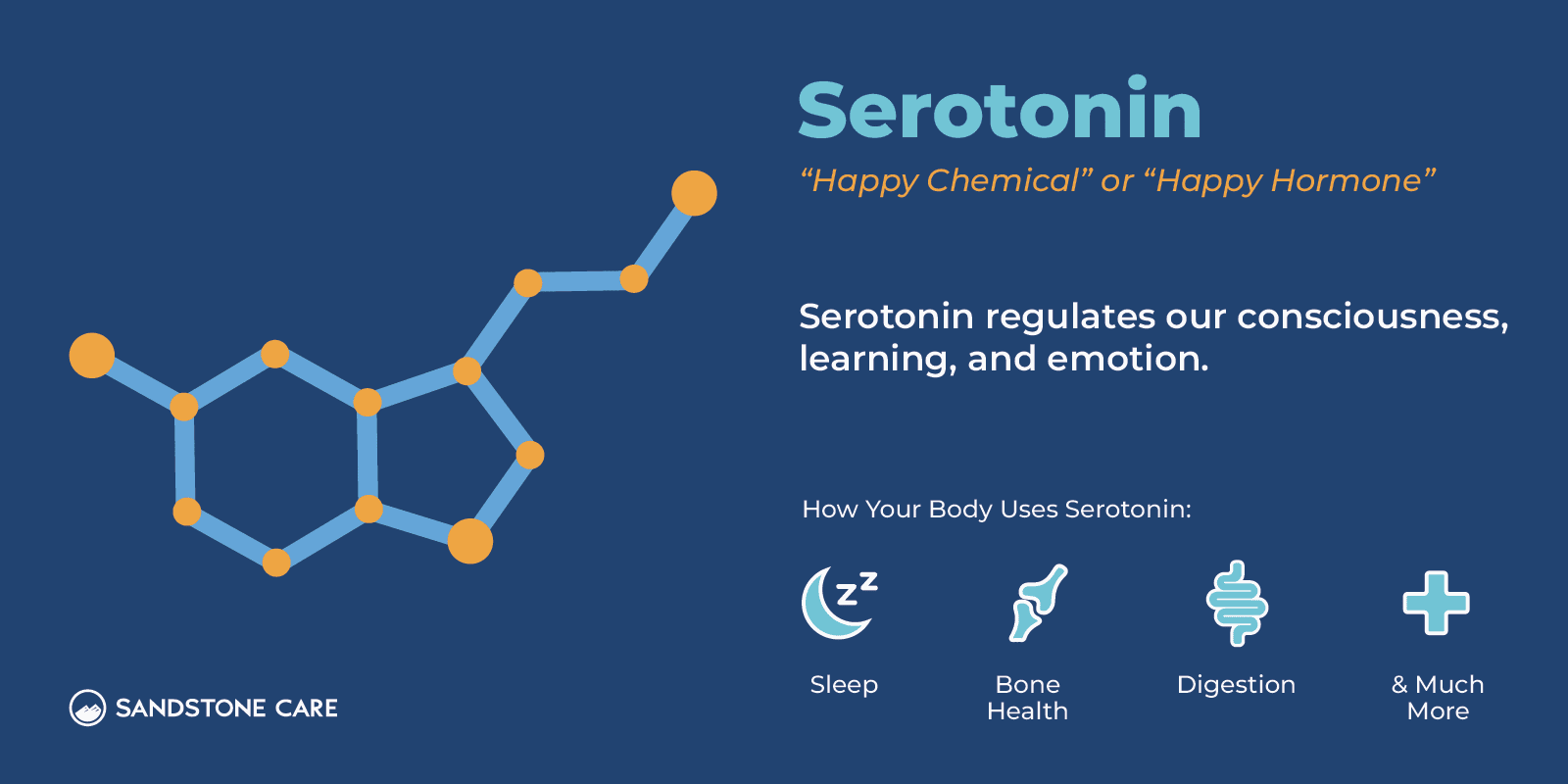 Serotonin Serotonin