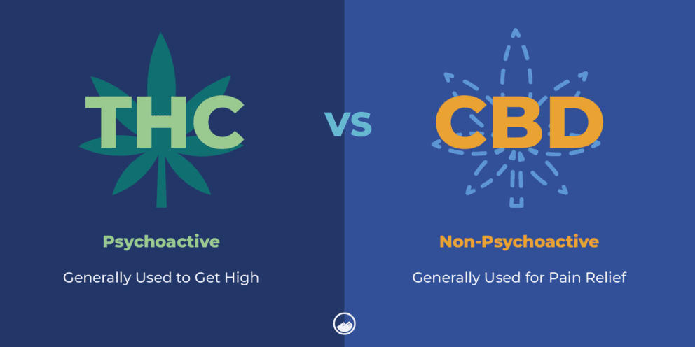 Greening Out | Crucial Insights on Weed Overdose Symptoms