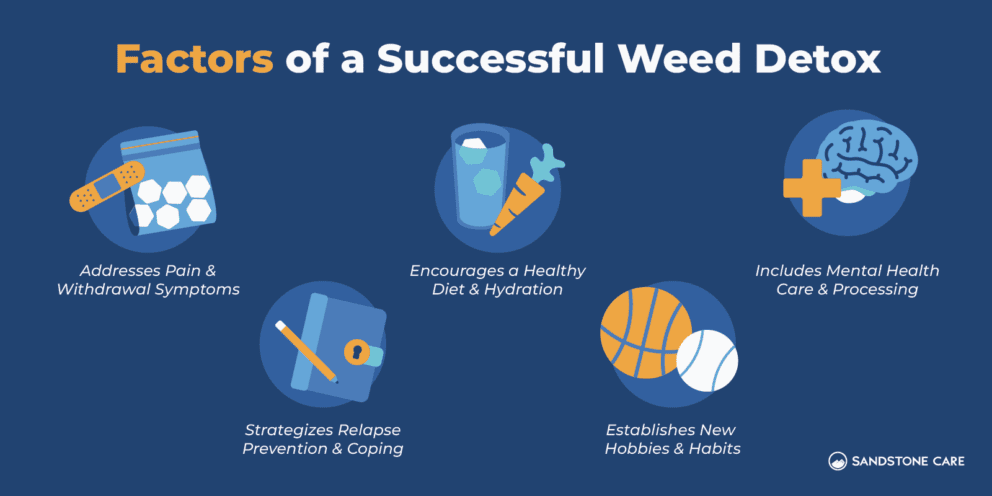 Detoxing from Weed | How to Recover from Marijuana Use