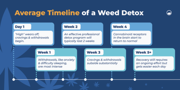 Detoxing from Weed | How to Recover from Marijuana Use