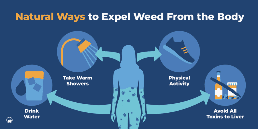 Detoxing from Weed | How to Recover from Marijuana Use