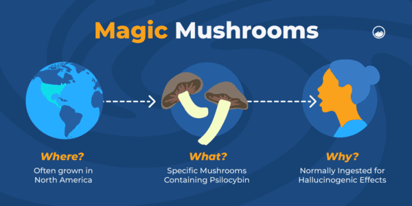 Psilocybin (Magic Mushrooms): 11+ Important Answers About Shroom Use