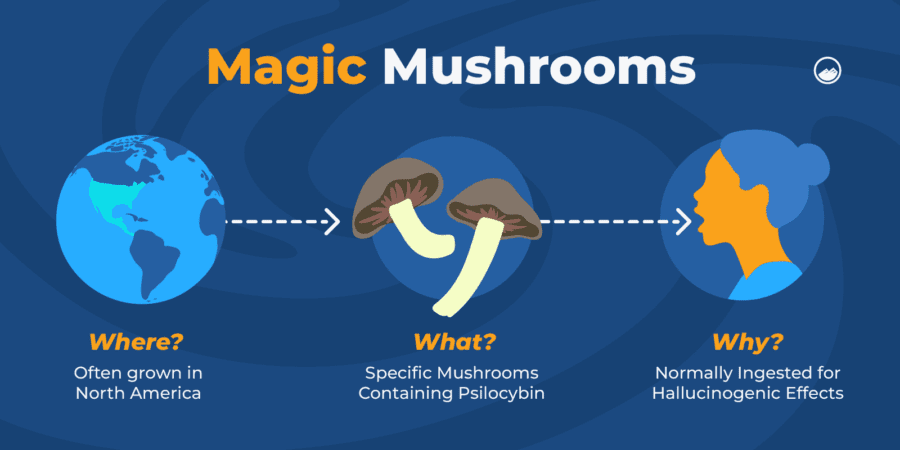 Psilocybin (Magic Mushrooms): 11+ Important Answers About Shroom Use