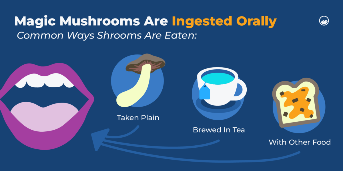 Psilocybin (Magic Mushrooms): 11+ Important Answers About Shroom Use