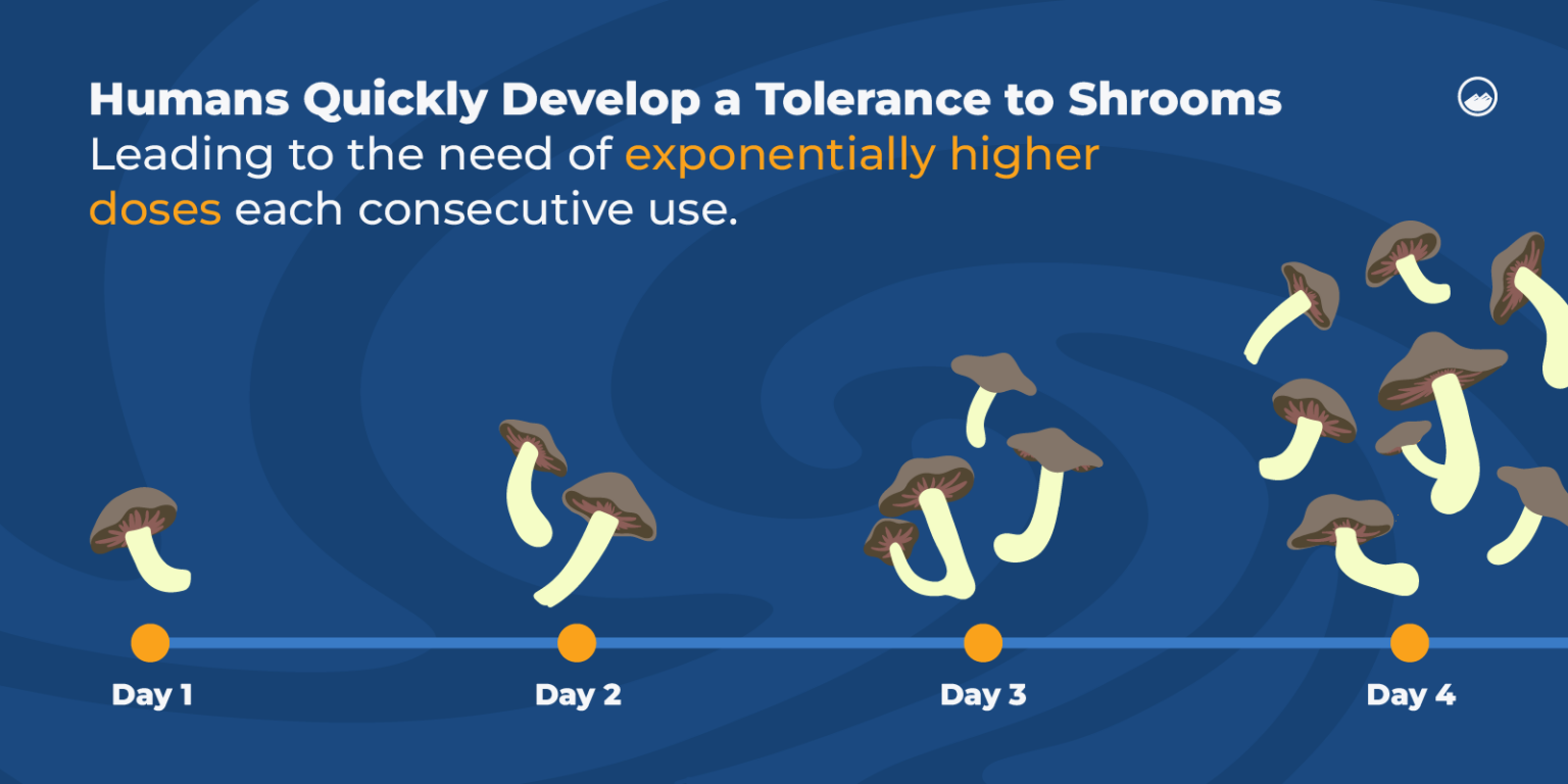 Psilocybin (Magic Mushrooms): 11+ Important Answers About Shroom Use