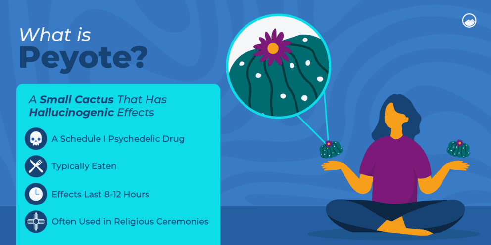 Peyote Drug Facts: 10+ Key Insights About Mescaline