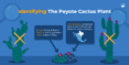 Peyote Drug Facts: 10+ Key Insights About Mescaline