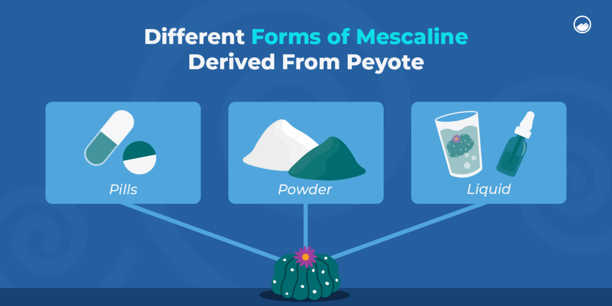 Peyote Drug Facts: 10+ Key Insights About Mescaline