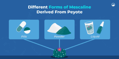 Peyote Drug Facts: 10+ Key Insights About Mescaline