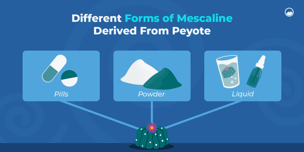 Peyote Drug Facts: 10+ Key Insights About Mescaline