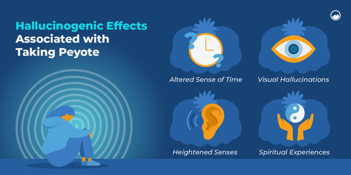 Peyote Drug Facts: 10+ Key Insights About Mescaline